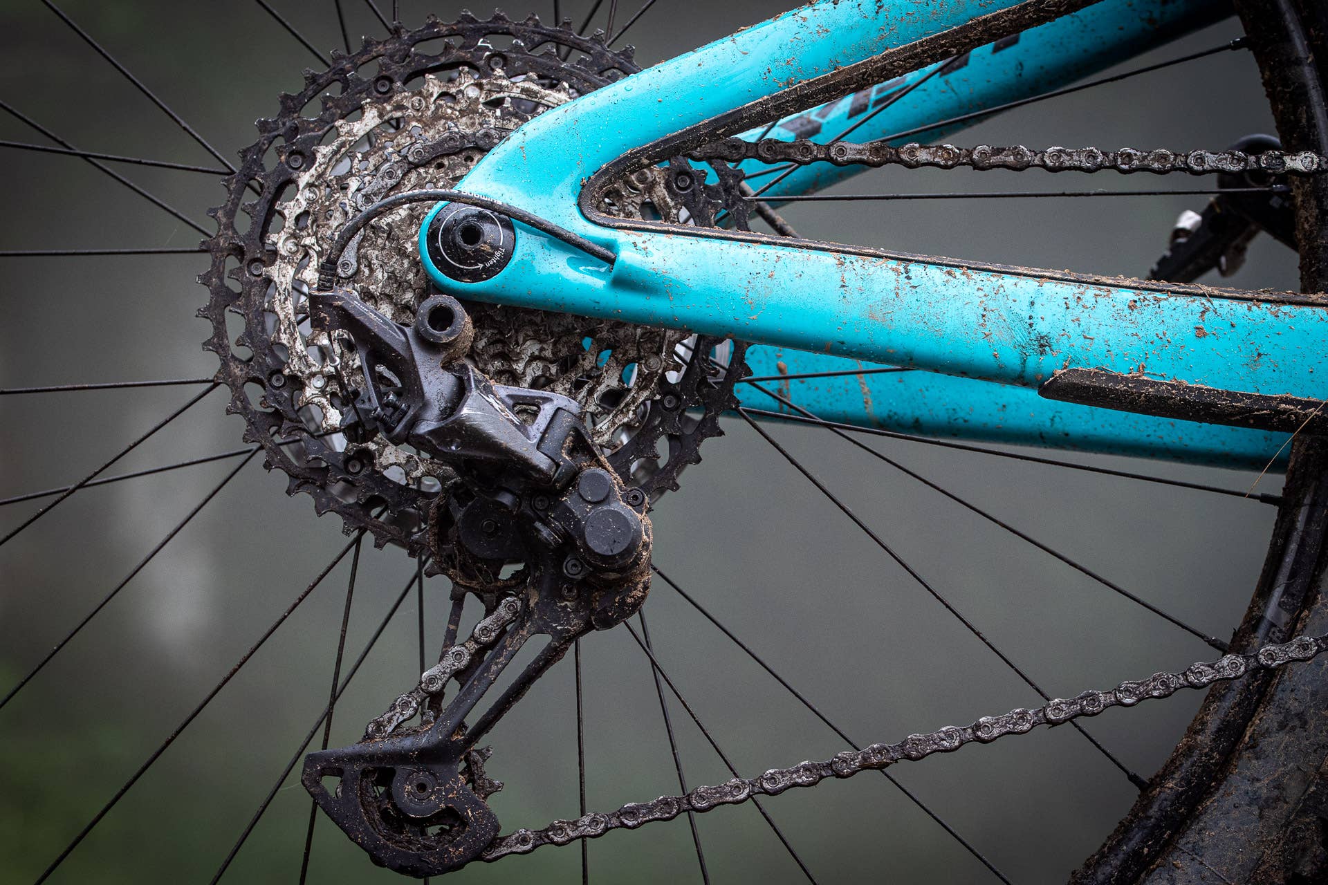 How To Measure Mountain Bike Chainline - BikeMag