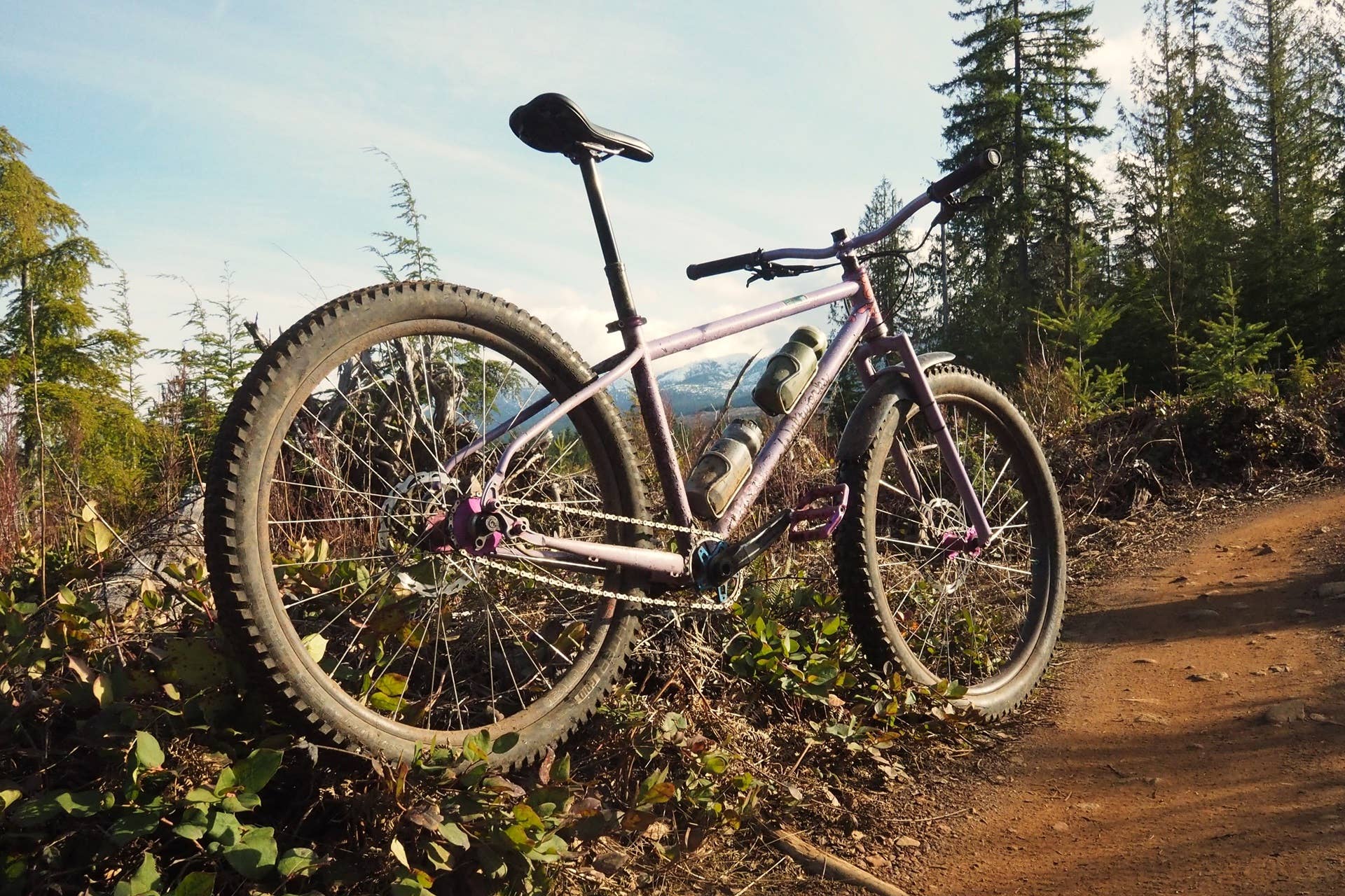 A Personal Look at Flat Pedal Value – Featuring the $55 Trek Line Elite ...