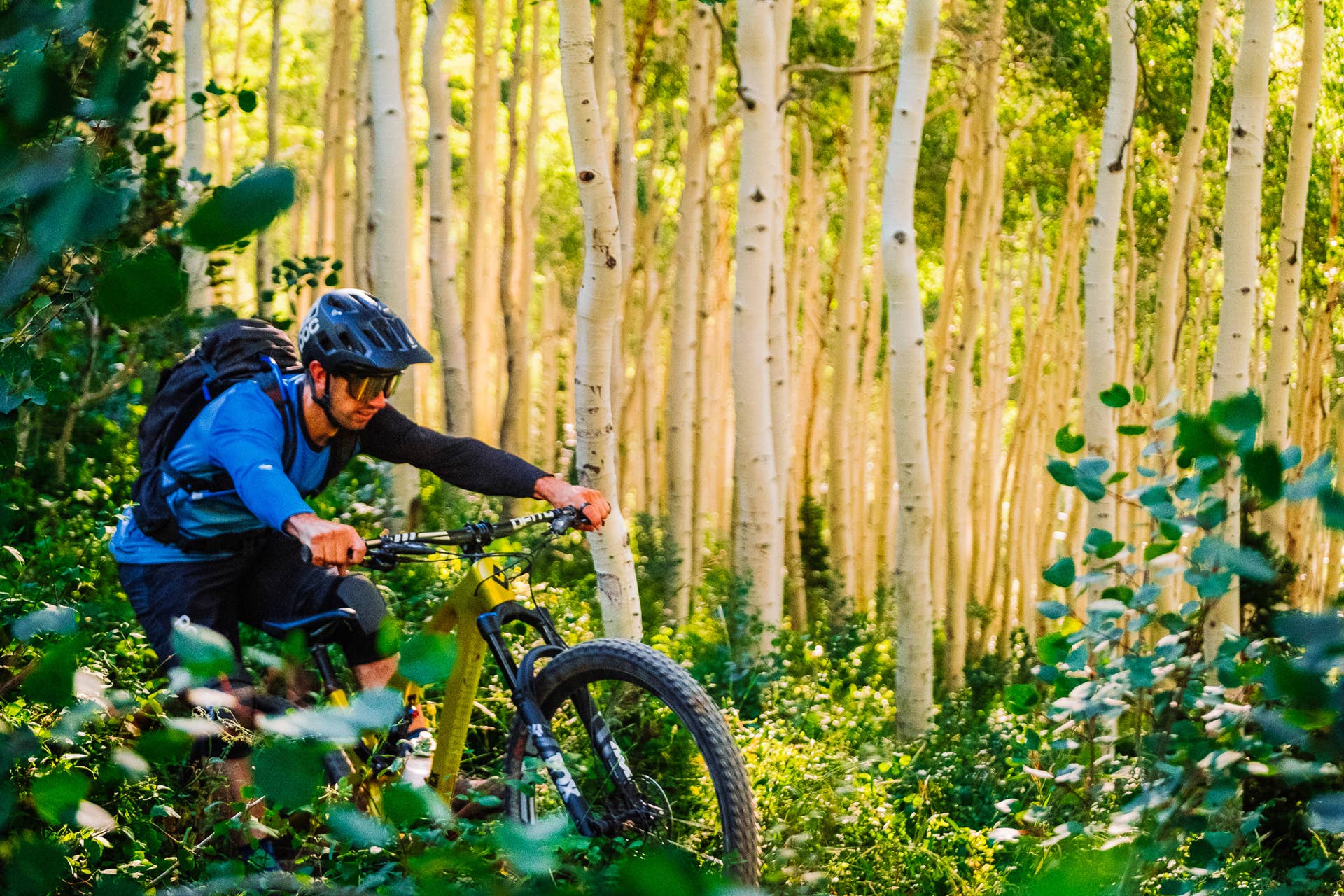 The Top 10 Cities for Mountain Biking in the United States - BikeMag
