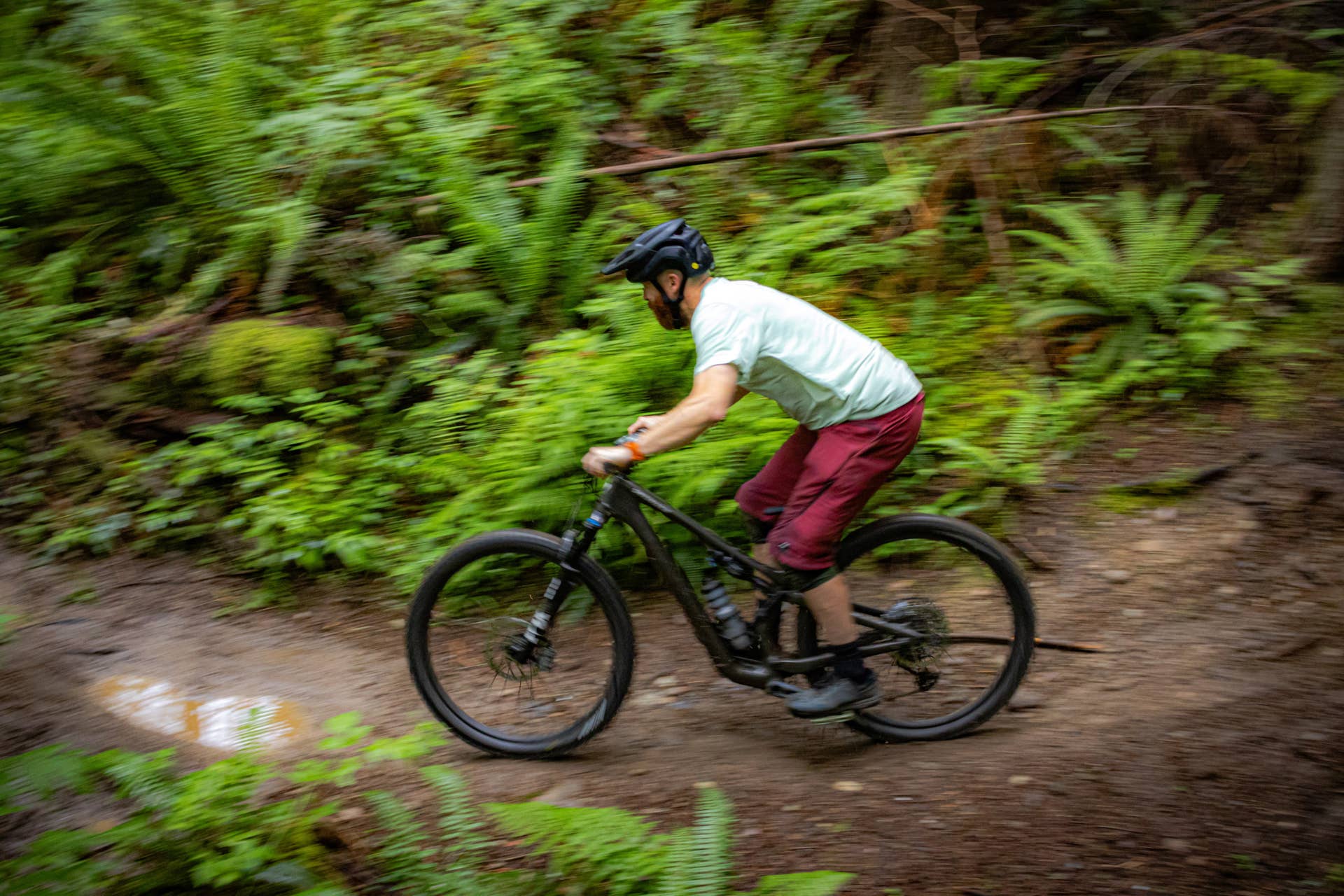 Tested: Specialized’s New Stumpjumper 15 Trail Bike - BikeMag