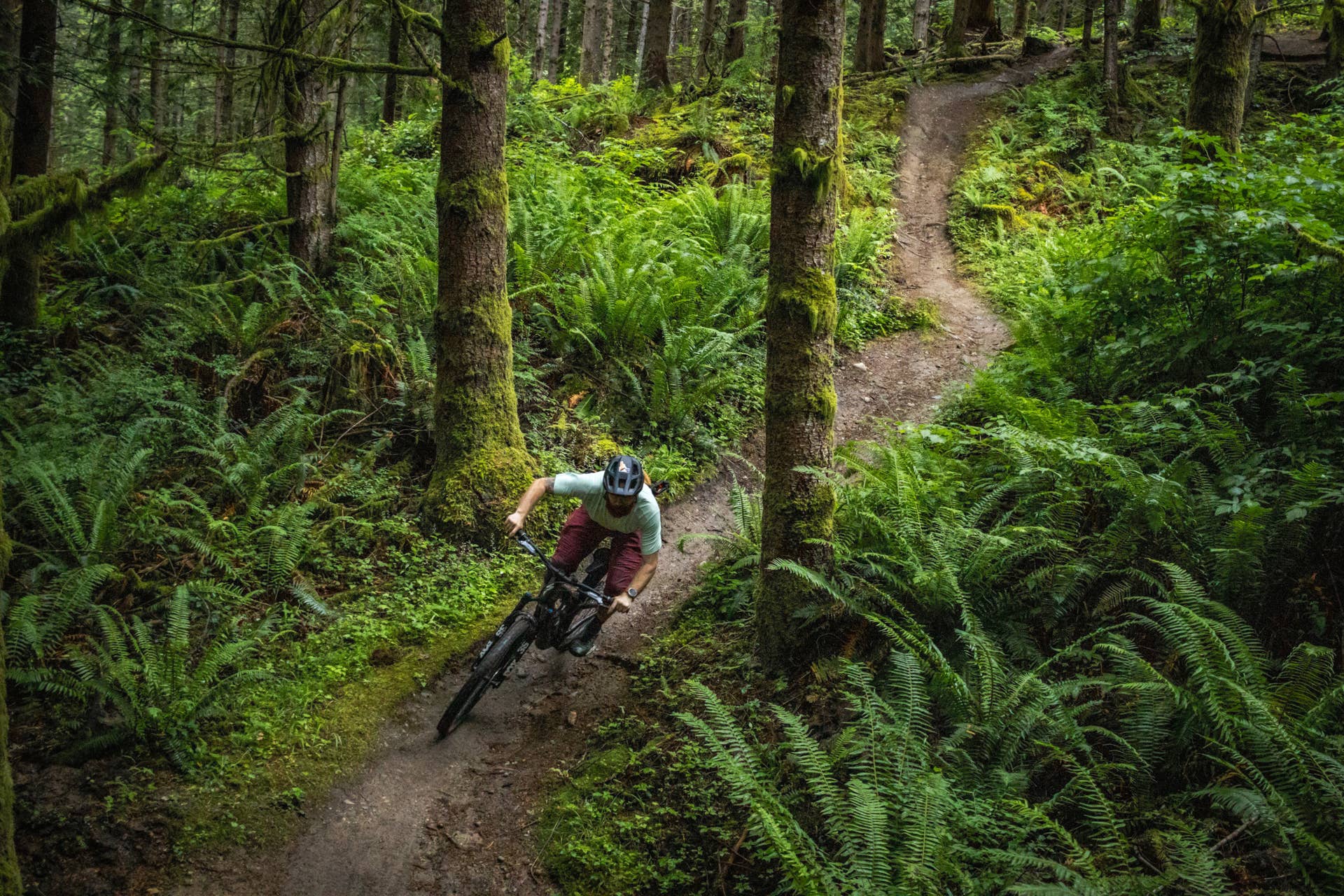 Tested: Specialized’s New Stumpjumper 15 Trail Bike - BikeMag