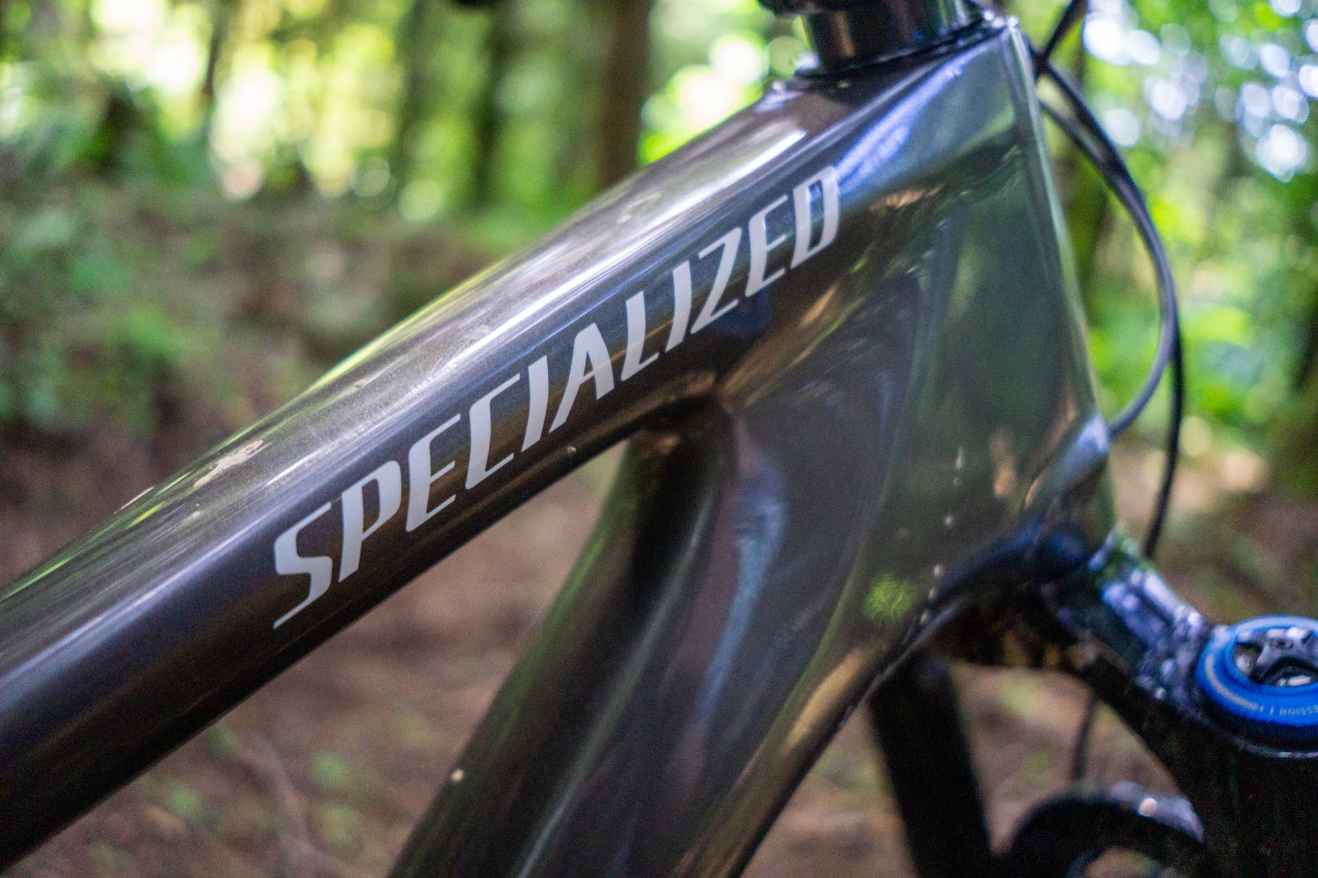 Tested: Specialized’s New Stumpjumper 15 Trail Bike - BikeMag