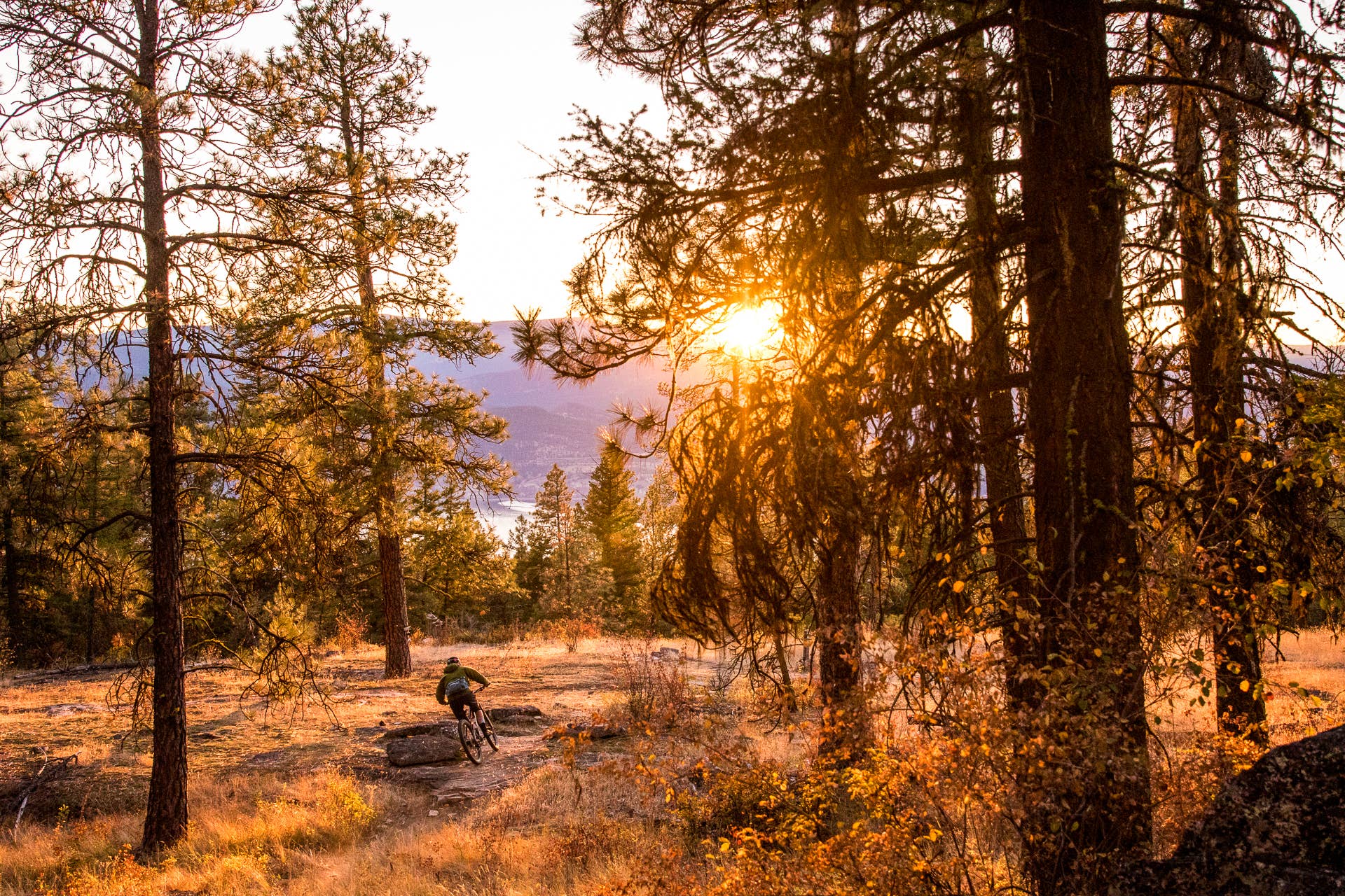 Trusting Nature—Seasonal Exploration With Photographer Ryan Creary ...