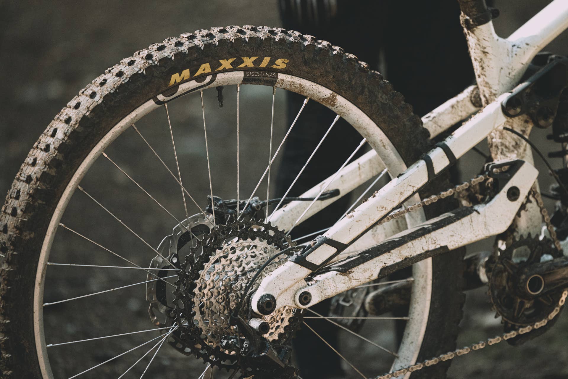 Are These Affordable Alloy MTB Wheels Any Good? - BikeMag