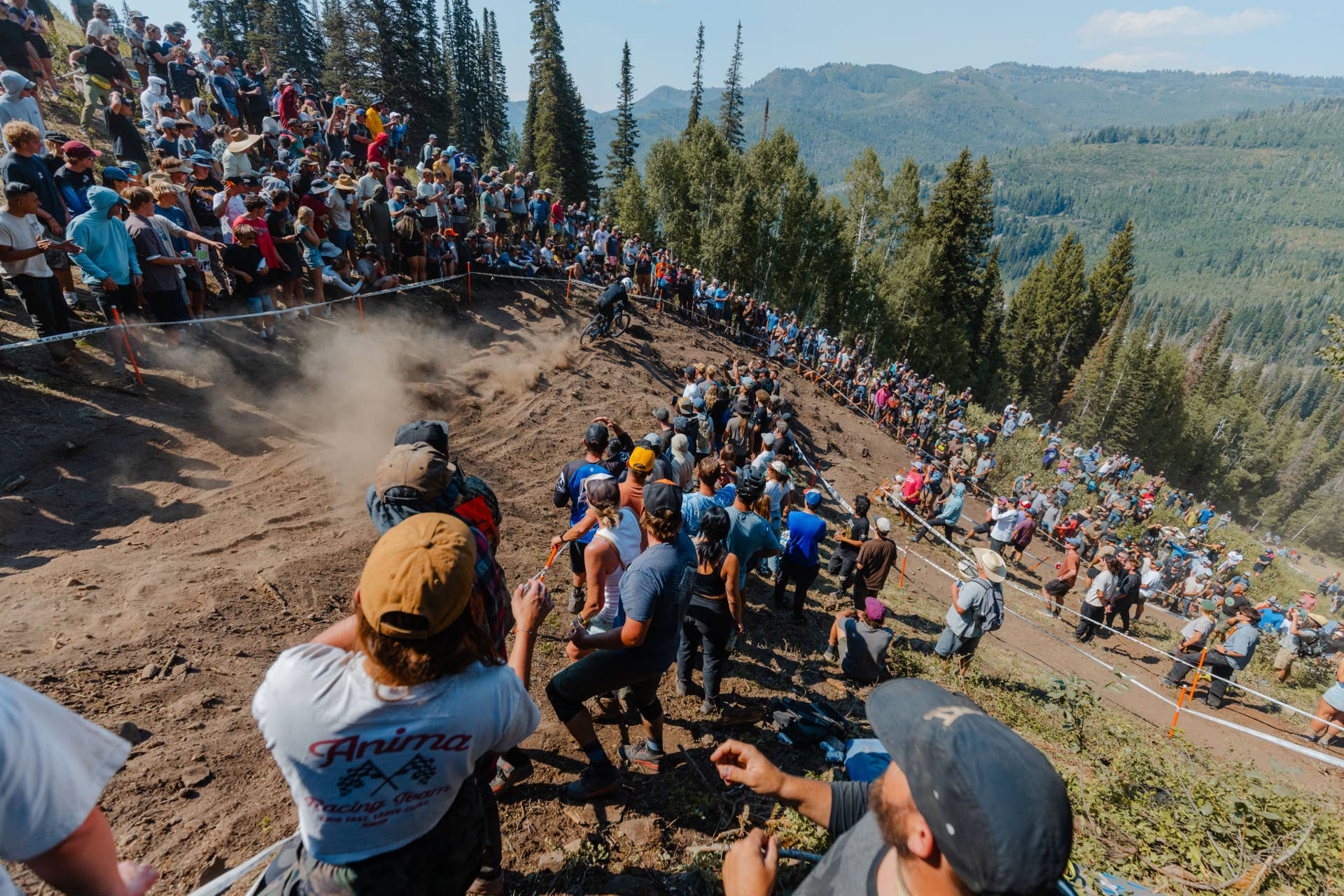 Mountain Biking Explained: All Categories for Beginners - BikeMag