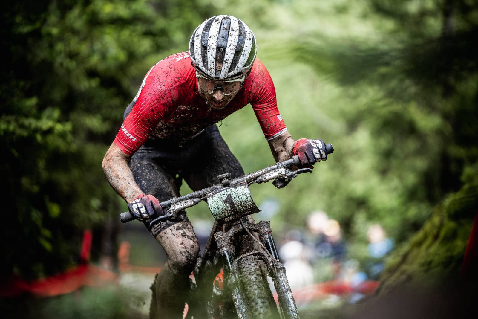 Mountain Biking Explained: All Categories for Beginners - BikeMag