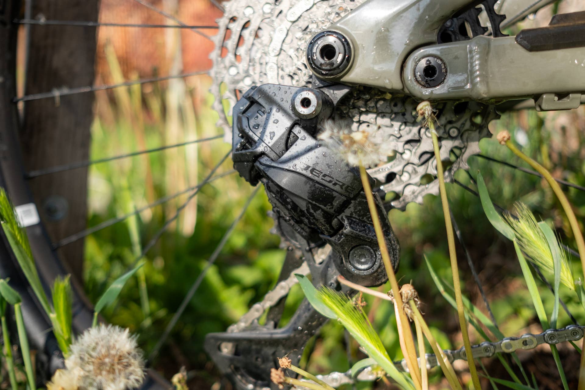 I Rode the Canyon Spectral AL 6 for a Year. Here’s the Honest Truth ...