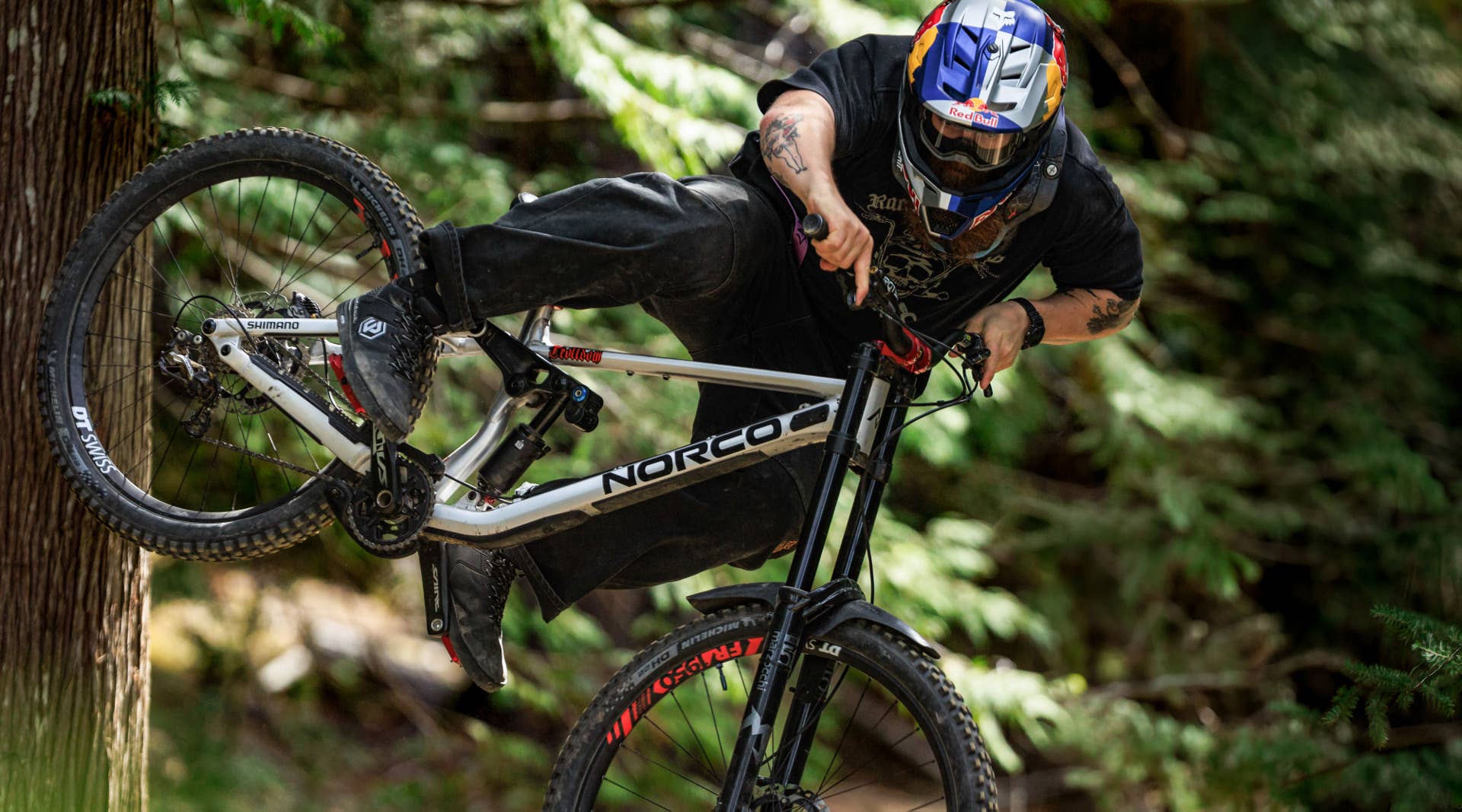 Tired of Fragile Carbon? Norco’s New Torrent DH Is Ready for Battle ...
