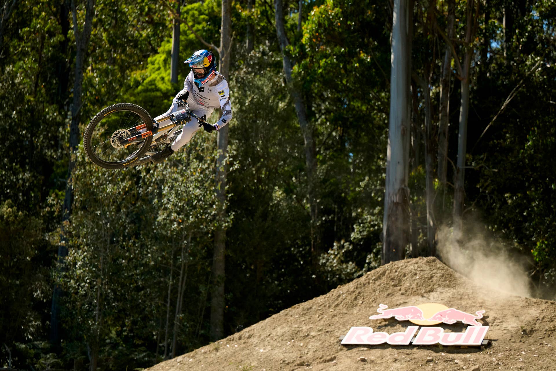 Red Bull Hardline Tasmania 2026: Results & Why It Was Cancelled - BikeMag