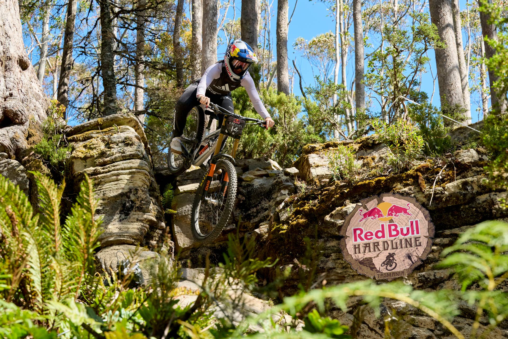 Red Bull Hardline Tasmania 2026: Results & Why It Was Cancelled - BikeMag