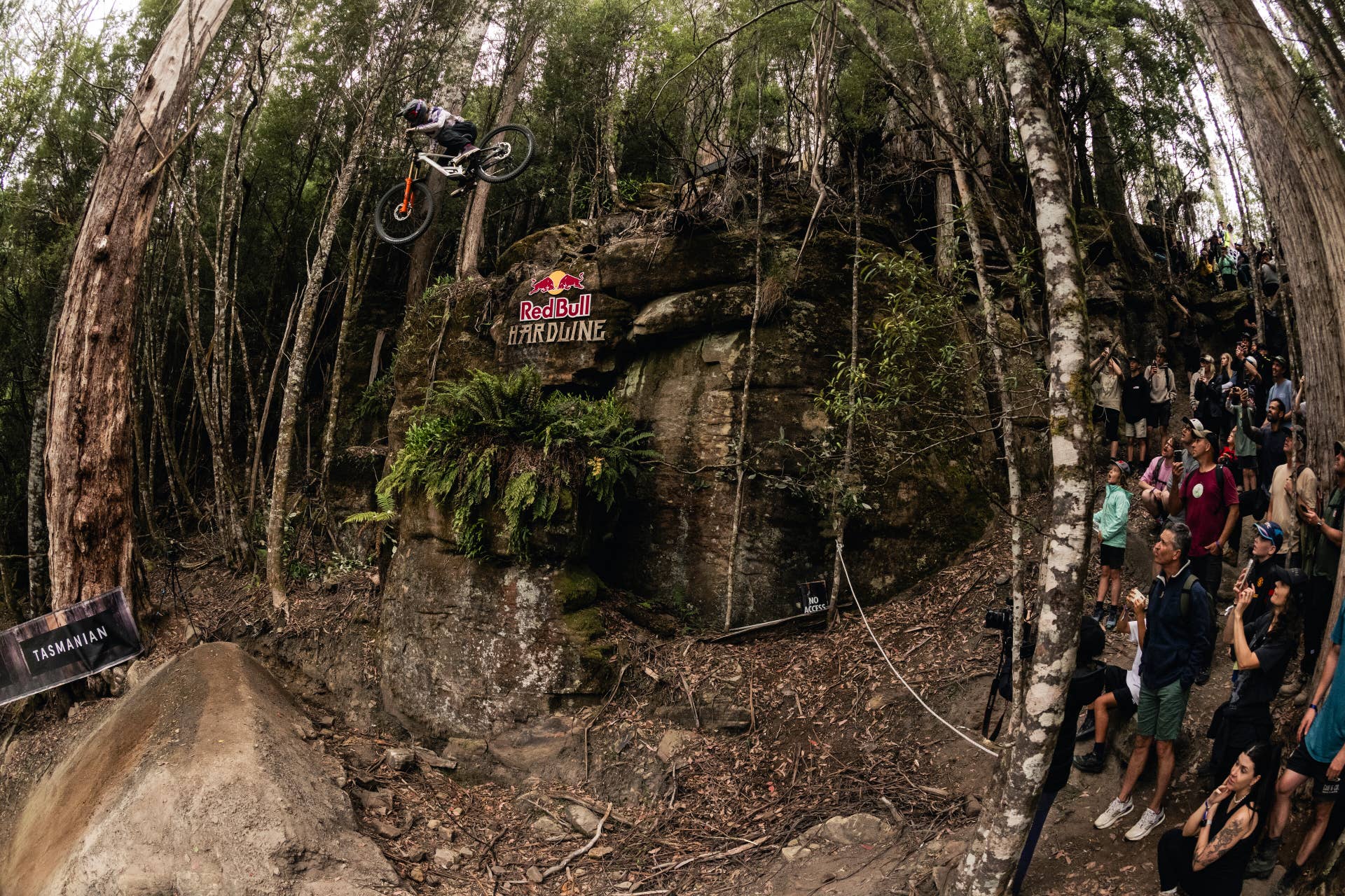 Red Bull Hardline Tasmania 2026: Results & Why It Was Cancelled - BikeMag