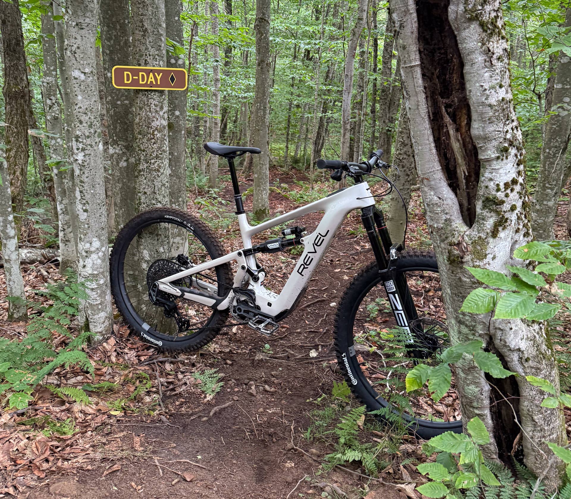 Revel ReRun eMTB: Long-Term Test Review - BikeMag