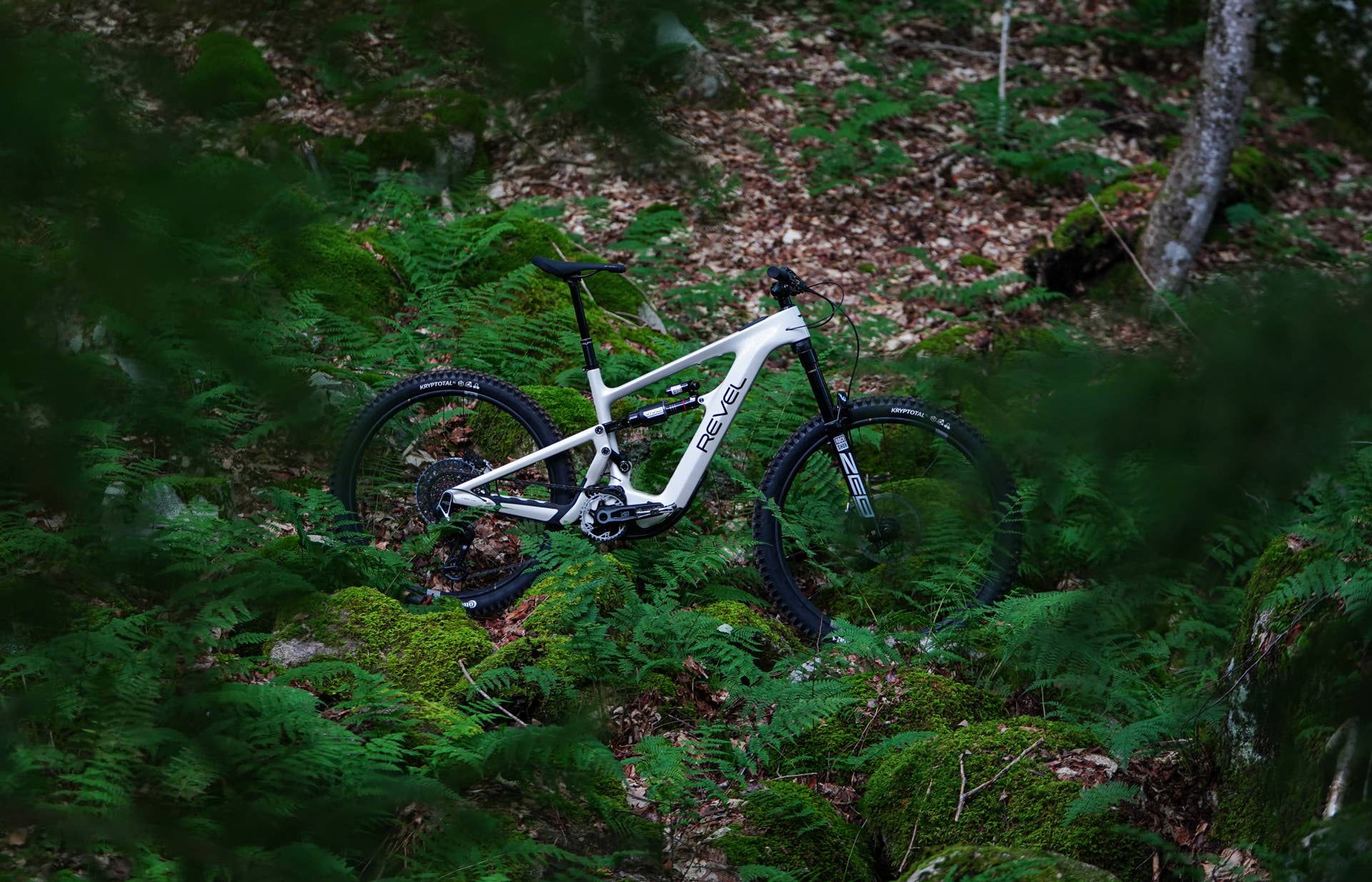 Revel ReRun eMTB: Long-Term Test Review - BikeMag