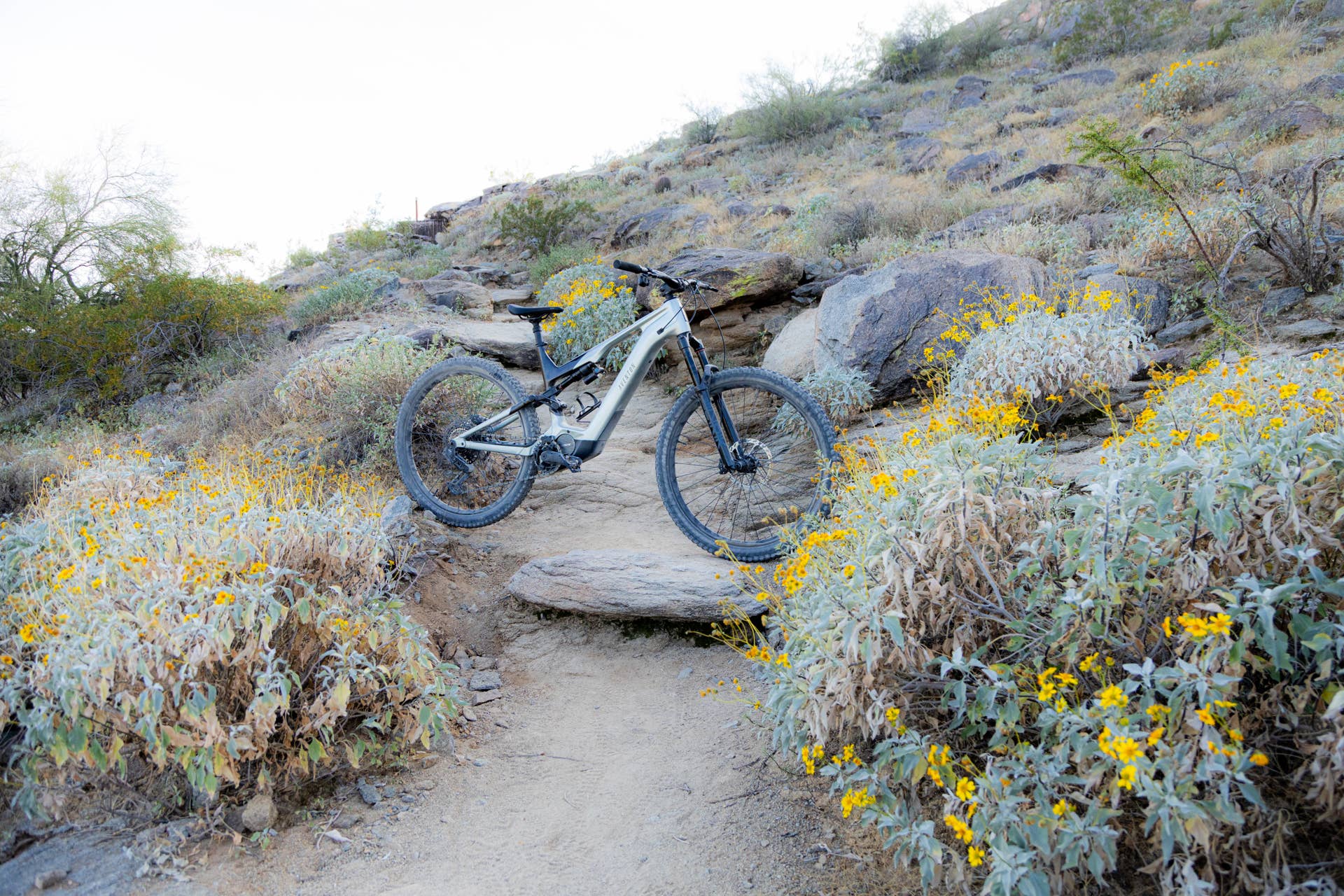Aventon Current E-Mountain Bike Review - Best Budget eMTB of 2026 ...