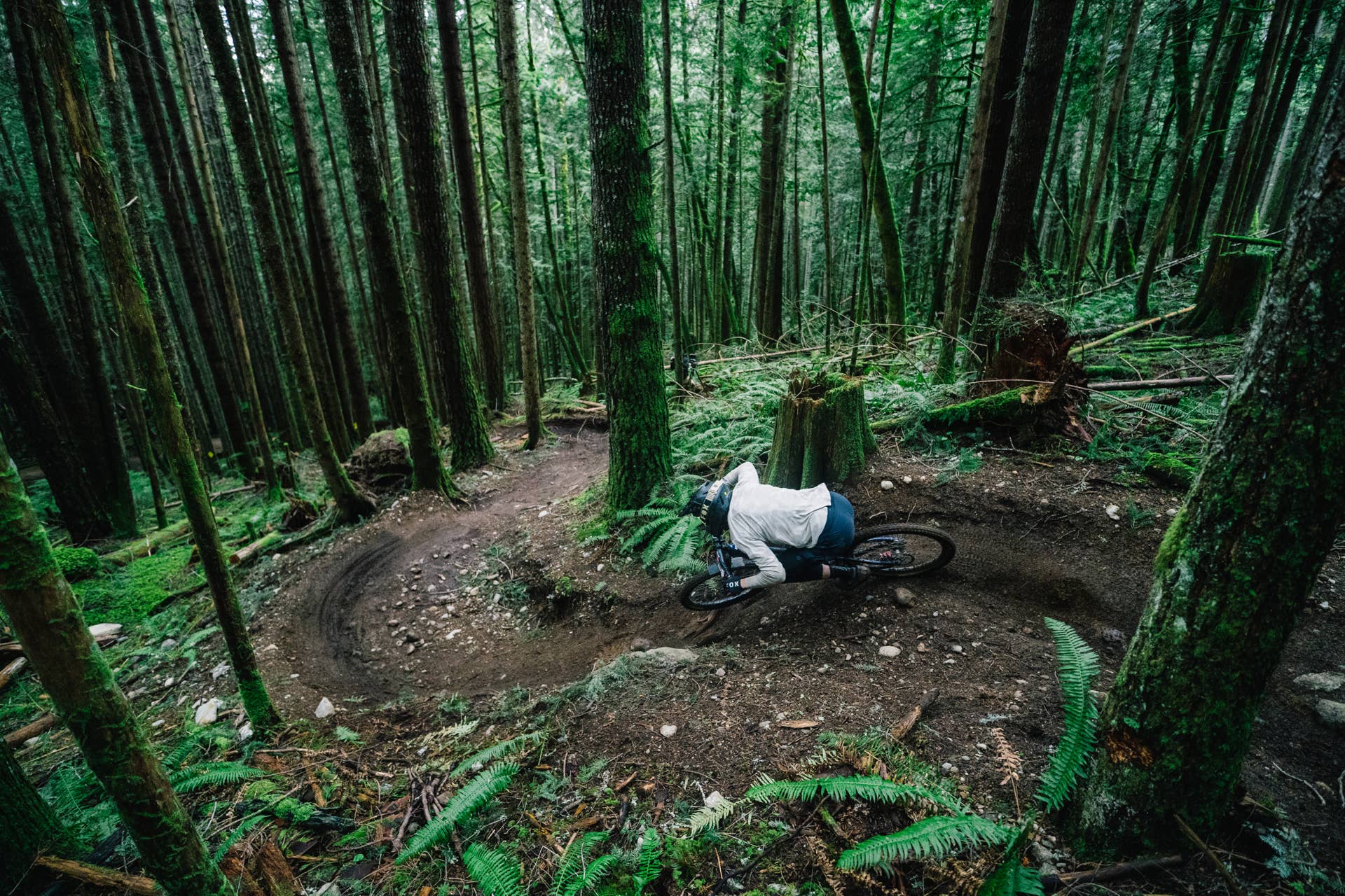Transition TR11: The Decade-Long Wait for a New DH Bike is Over - BikeMag
