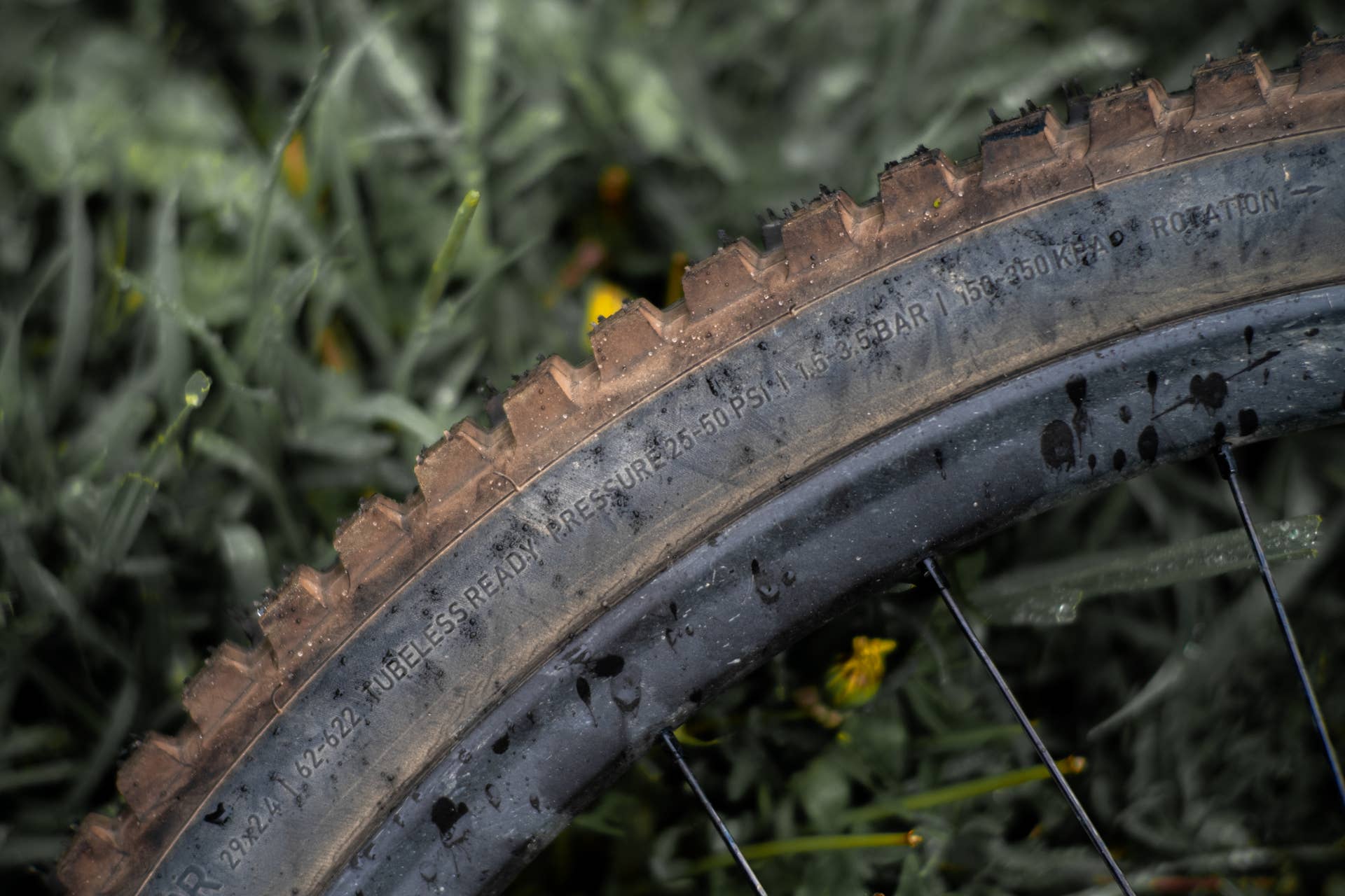 Specialized Butcher & Eliminator Radial Tires: First Look - BikeMag