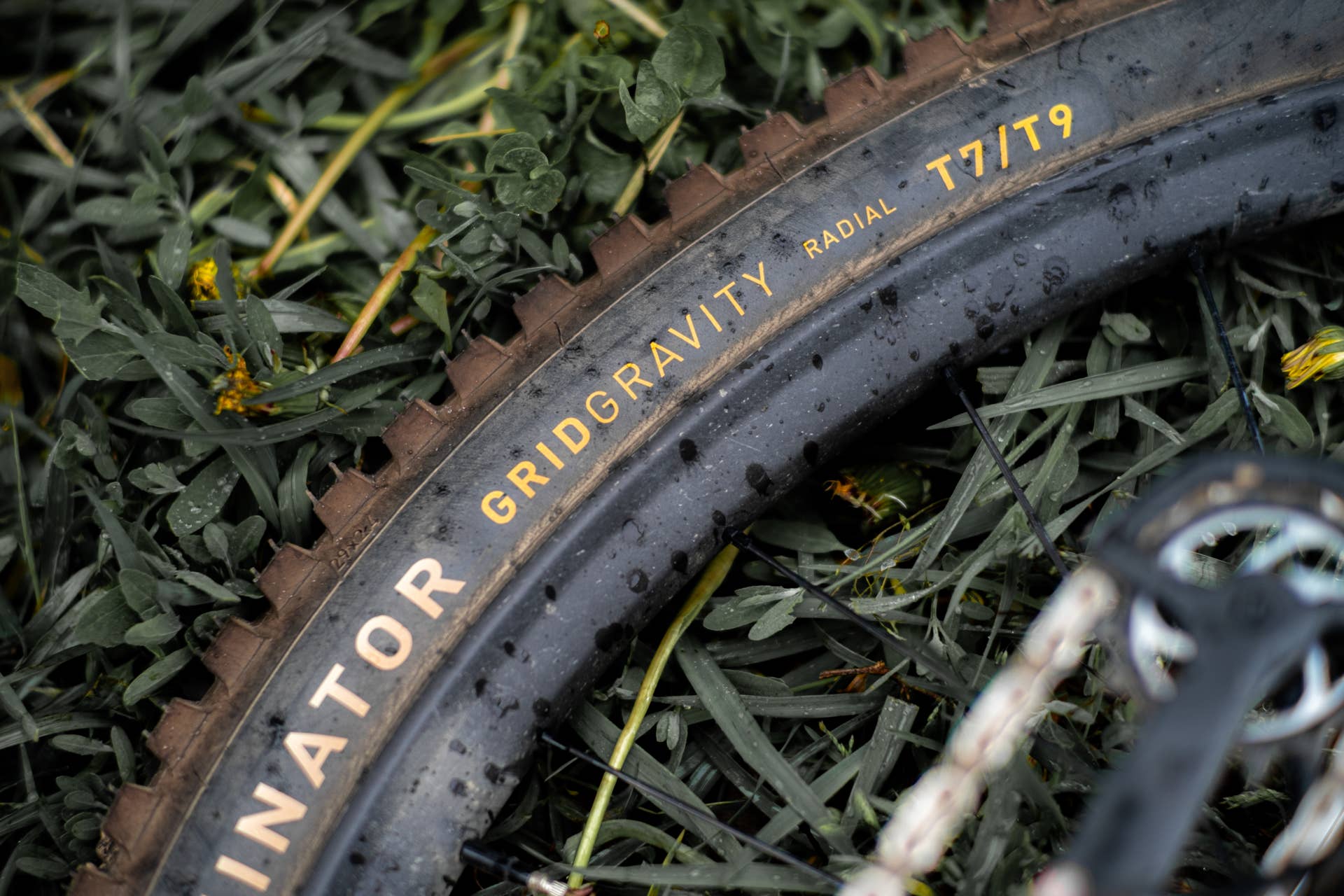 Radial MTB Tires Compared: Schwalbe vs. Specialized vs. Vee Tire Co ...