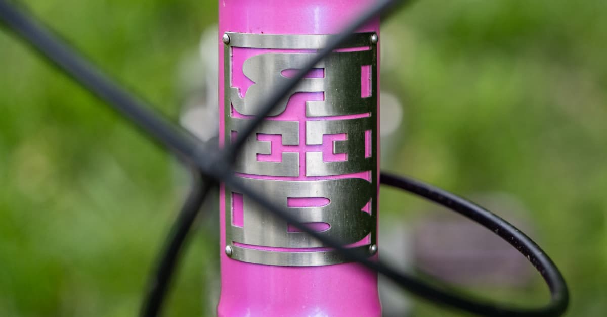 Revisited: REEB STEEZL - BikeMag