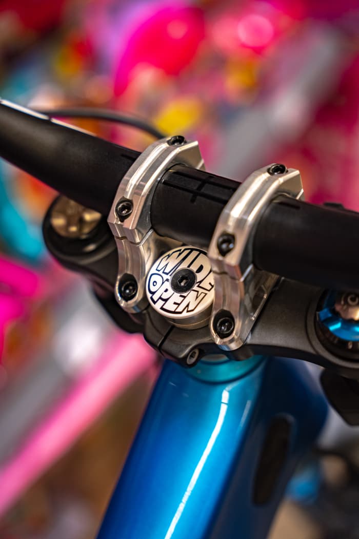 The Women's Red Bull Rampage-Winning Bike of Robin Goomes