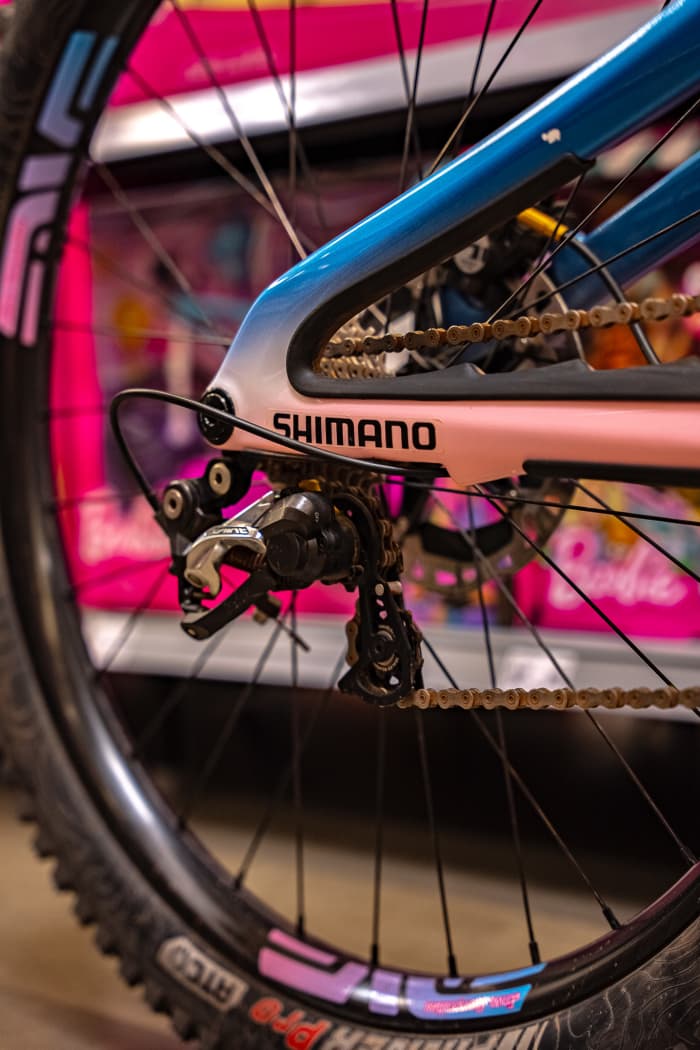 The Women's Red Bull Rampage-Winning Bike of Robin Goomes