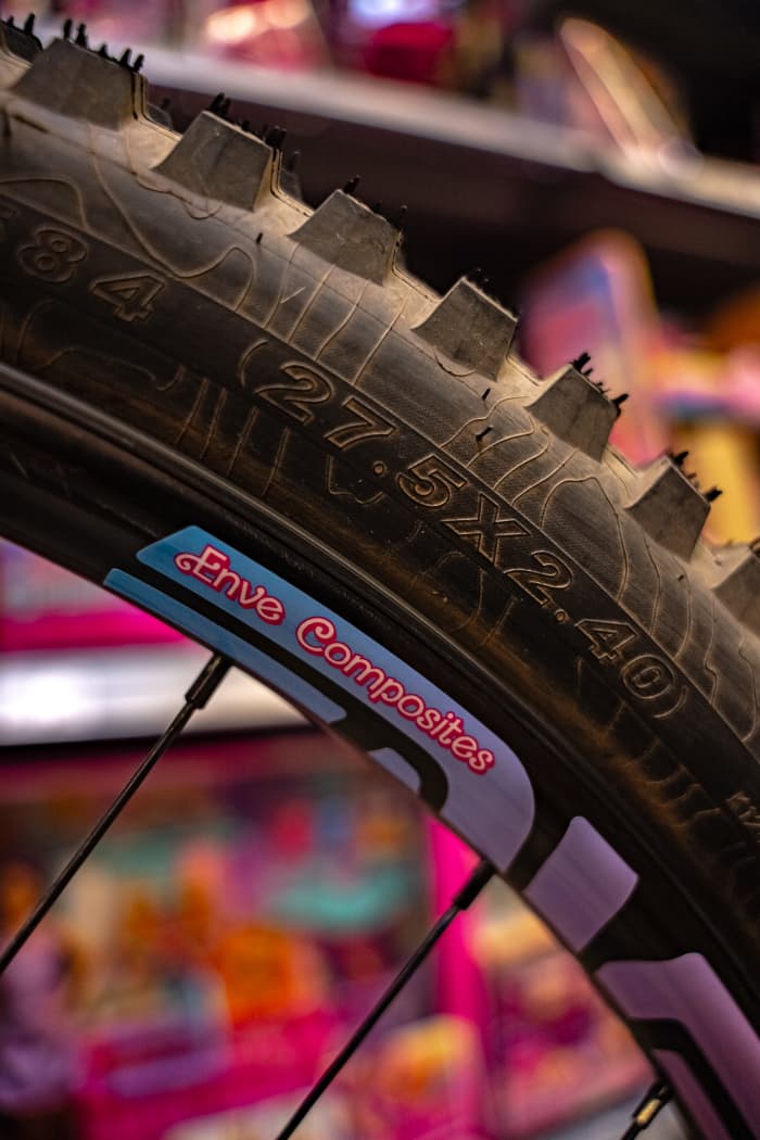 The Women's Red Bull Rampage-Winning Bike of Robin Goomes