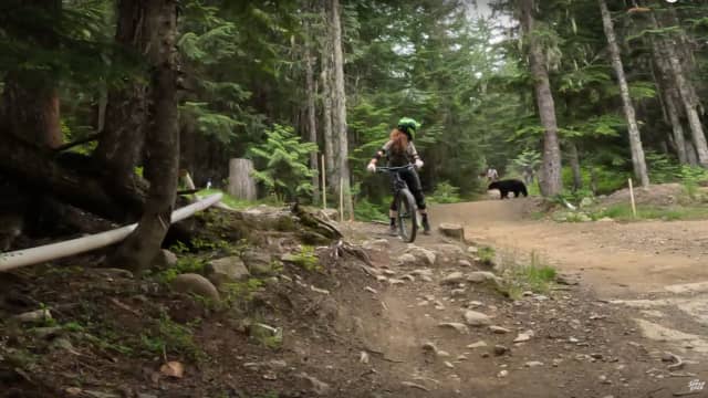 "Come Here!"- Rider Chases Fleeing Bear Down Trail - BikeMag