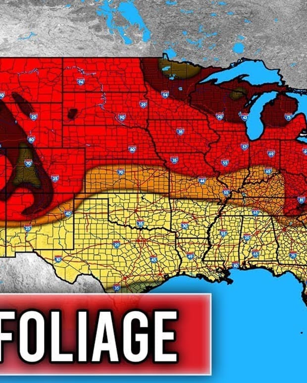 Summer Is Over, Here's When To Expect Peak Fall Foliage