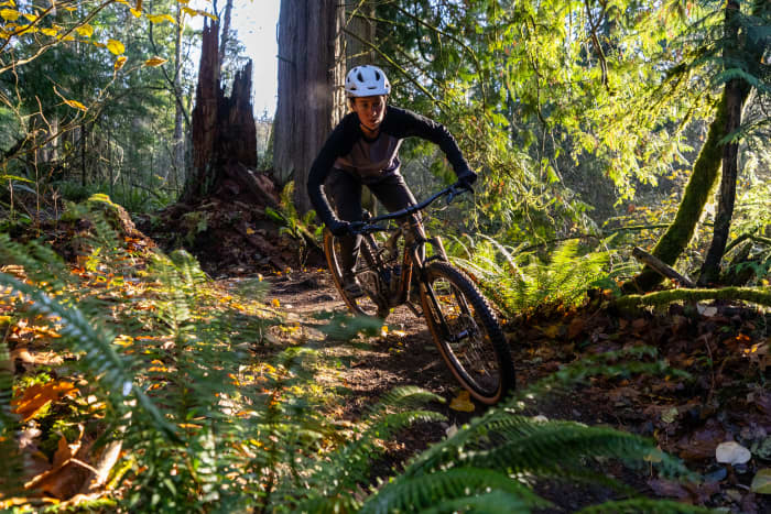 Tested: Revel Ranger V2