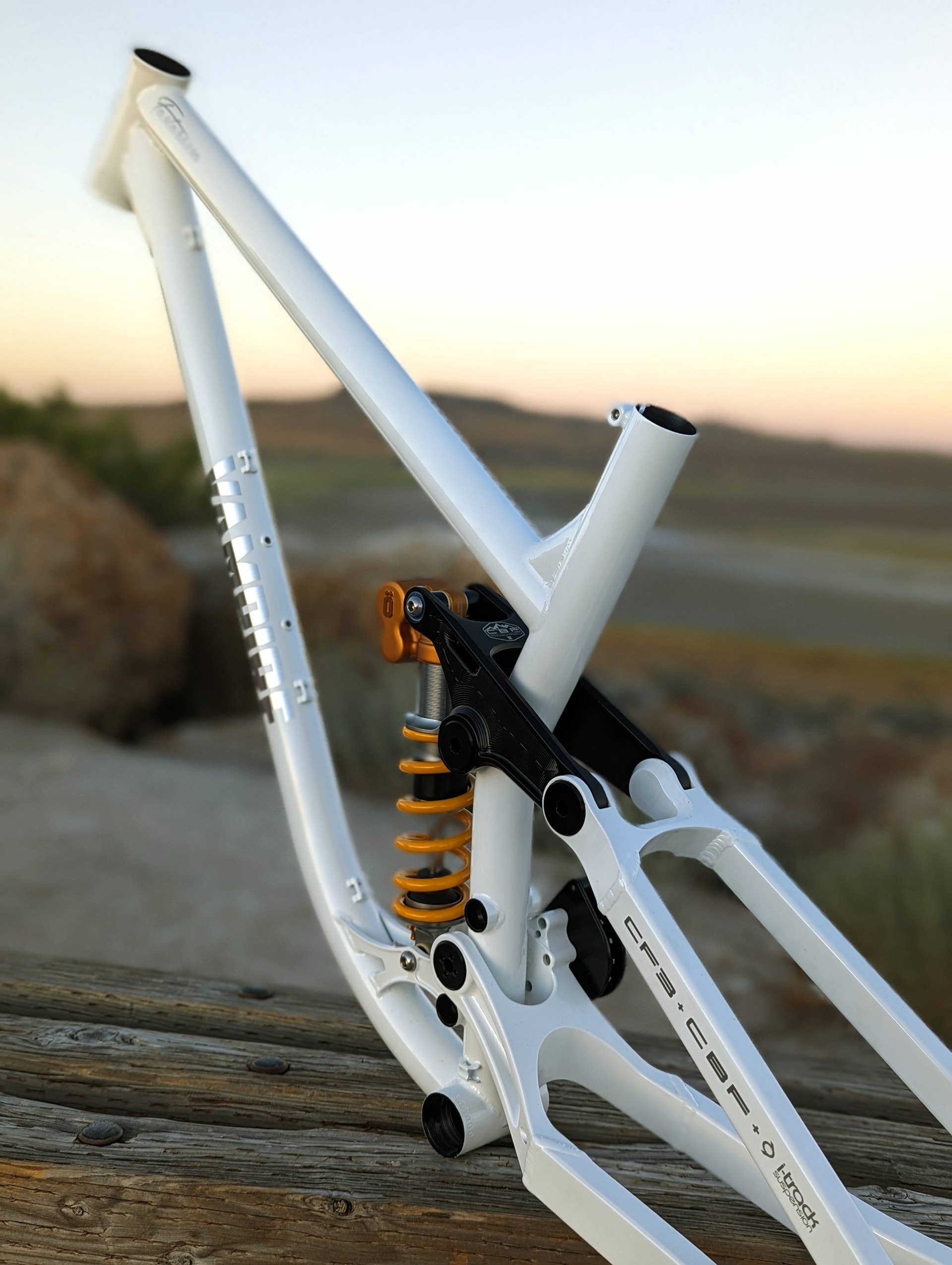 Pro Mountain Biker Chris Canfield Launches Vampire Bikes Brand
