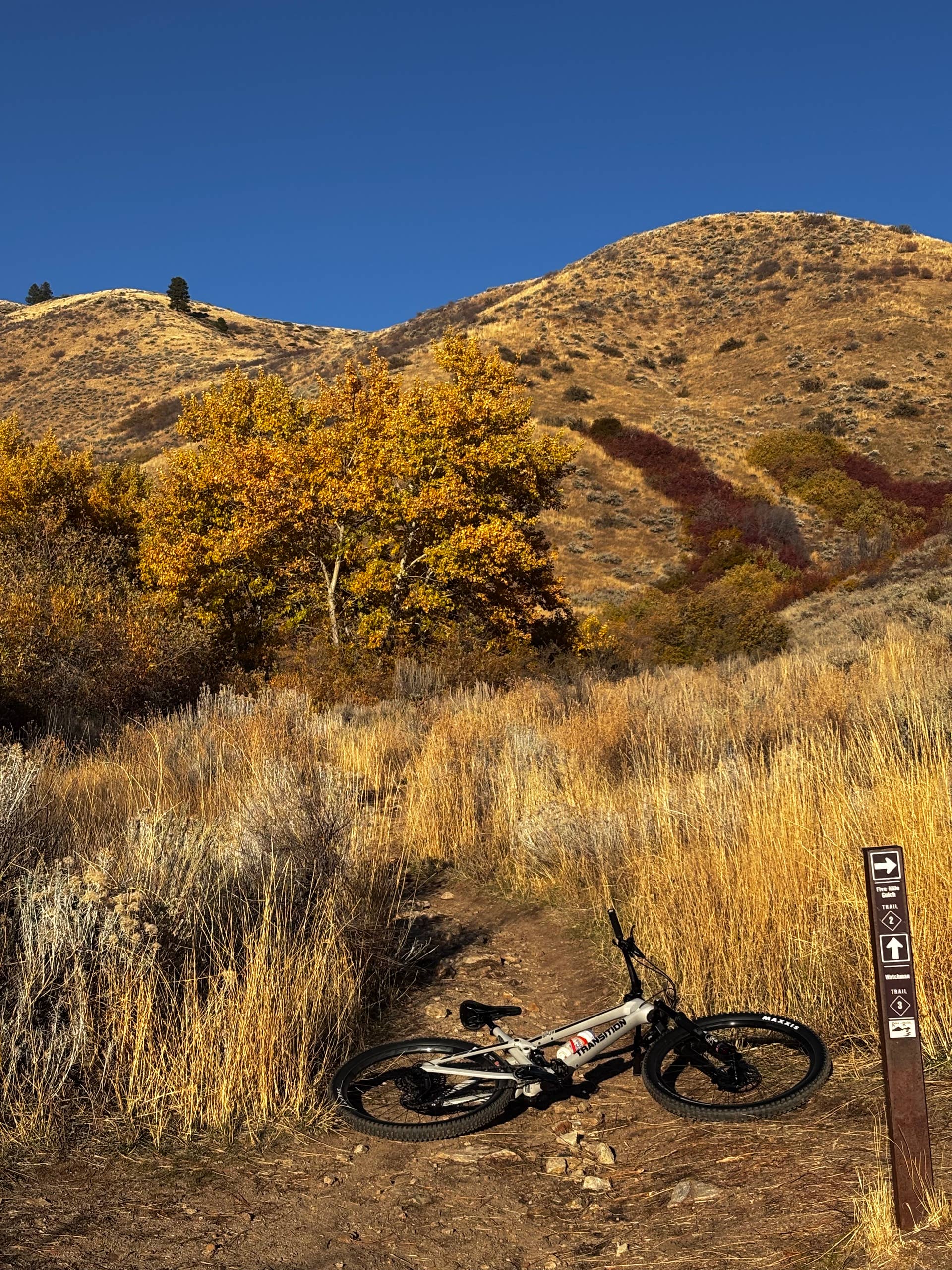 Mountain Bike Trail Features: The Essential Guide