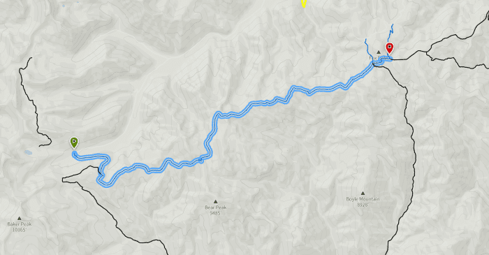 Top 10 Mountain Bike Trails in the USA