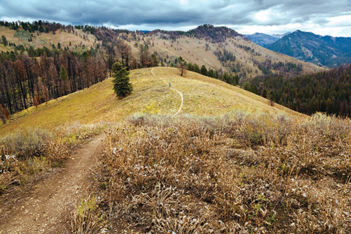 Angle of Repose: Jackson Hole bike trails