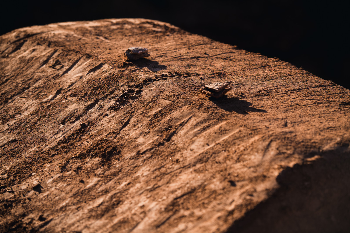 Red Bull Rampage 2019 In Photos