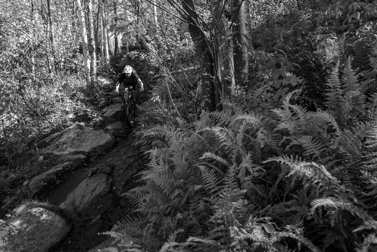 Not-so-Retrospective: Santa Cruz Bronson