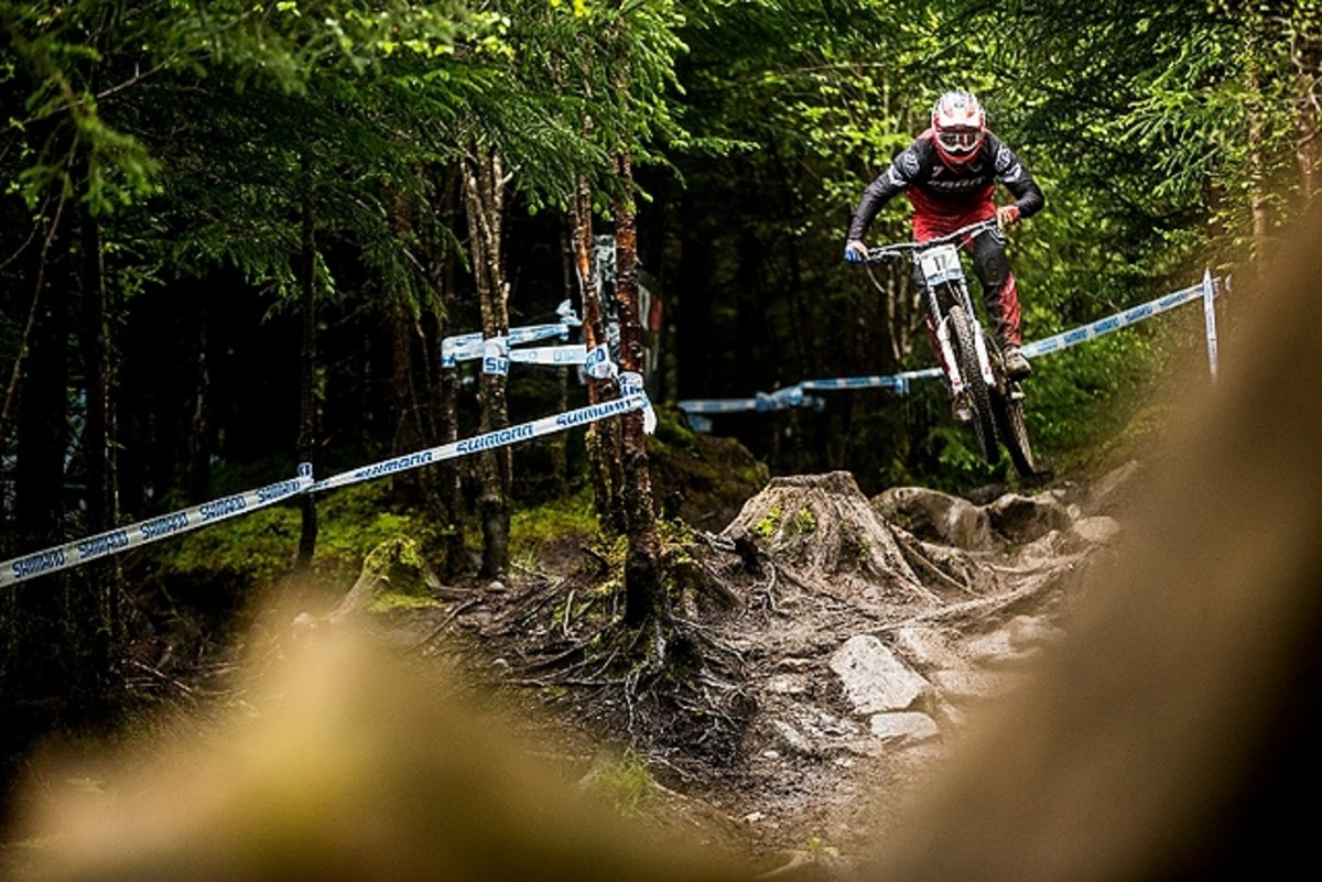 Steps to the Top | Luca Shaw