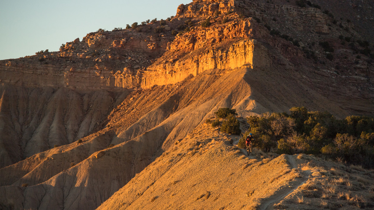 Instinctively Weird: Rocky, Fruita, and the Moon Farm