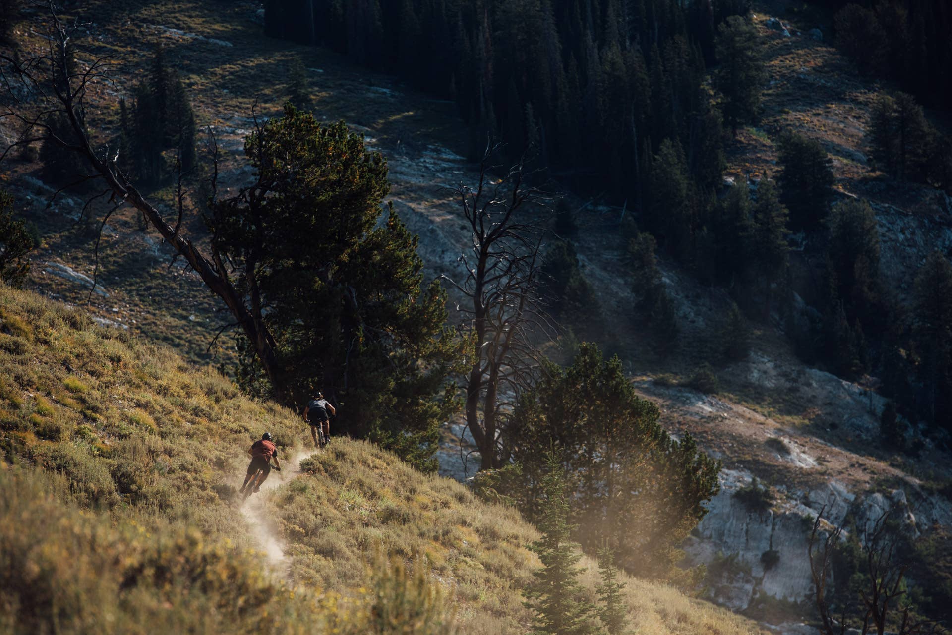 In the Valley of the Sun – Riding Sun Valley Singletrack - BikeMag