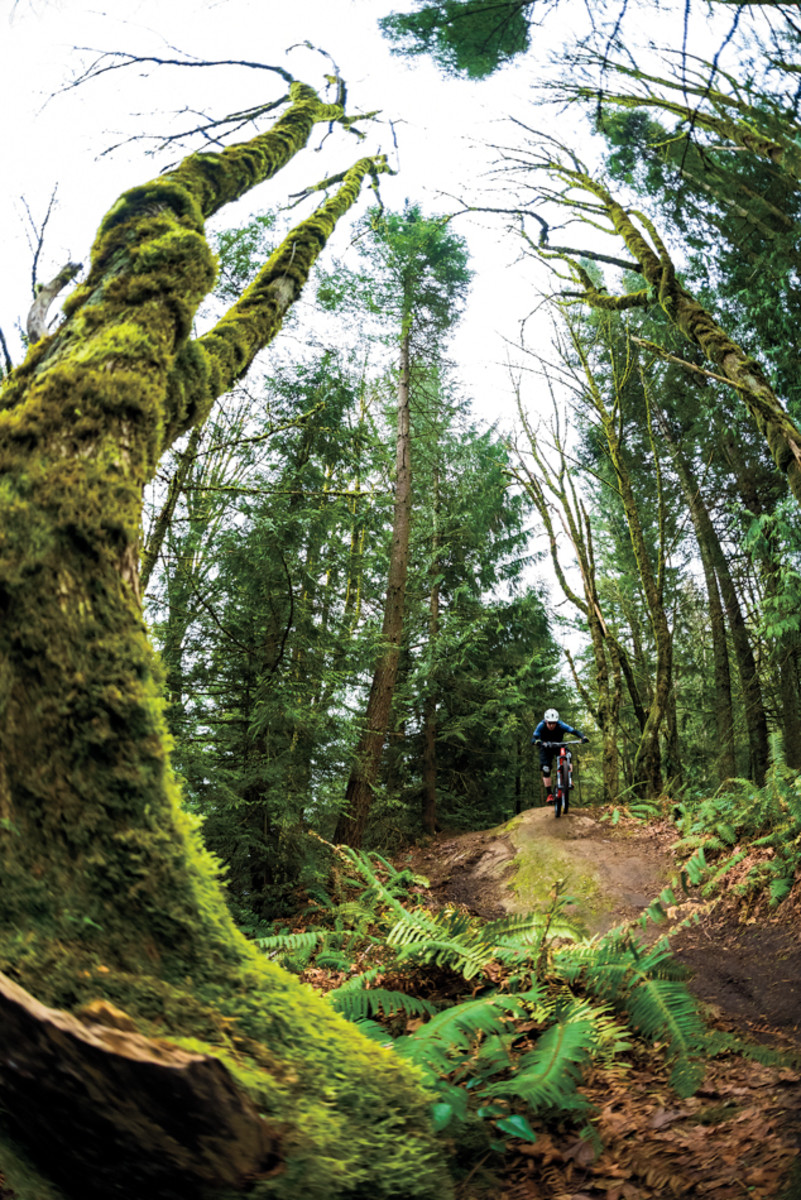 Routes: Bellingham MTB Guide | BIKE Magazine