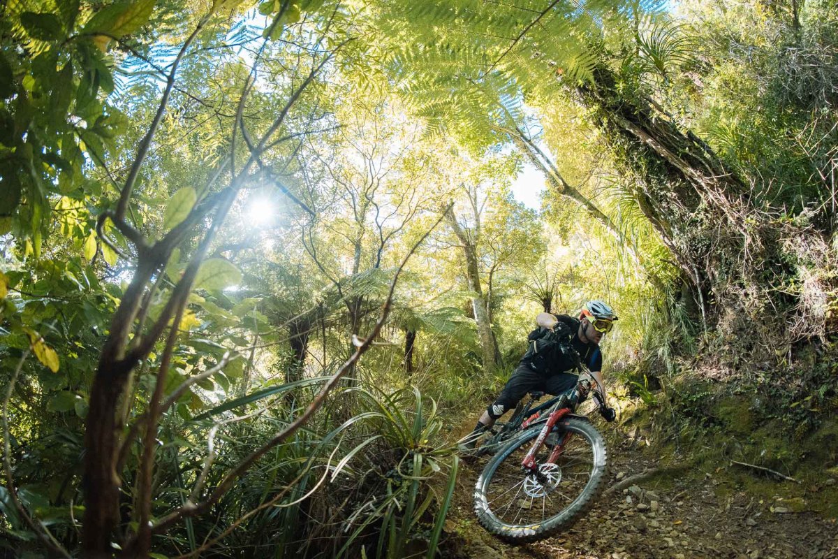 Santa Cruz NZ Enduro Registration 2019 | BIKE Magazine - BikeMag