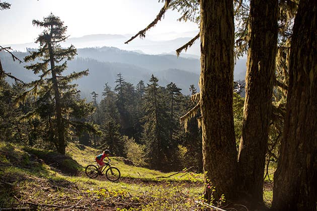 First Look: Yeti Beti SB5C and ASRC