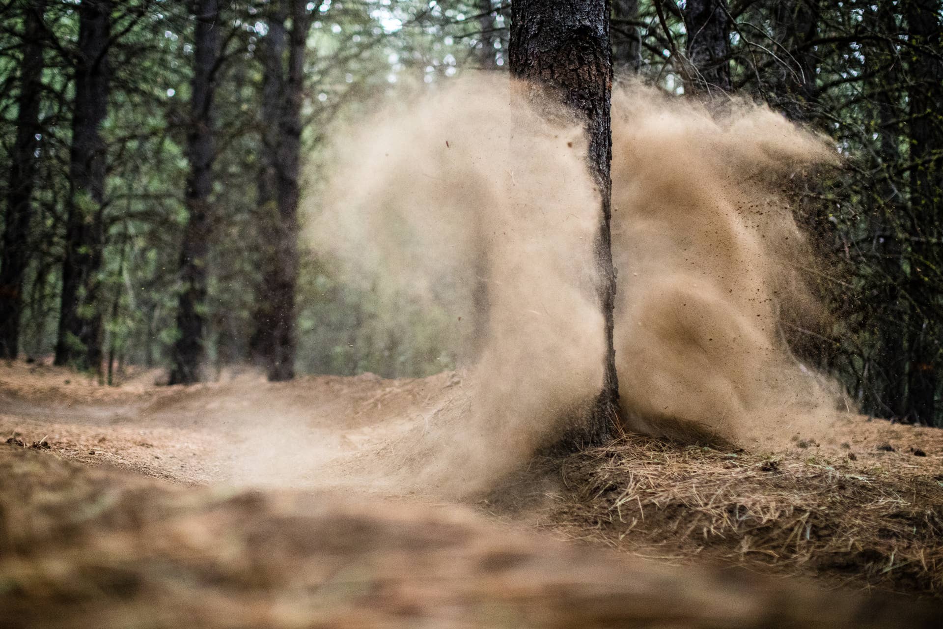 MTB Slang Guide: 30+ Must-Know Mountain Biking Terms and Lingo