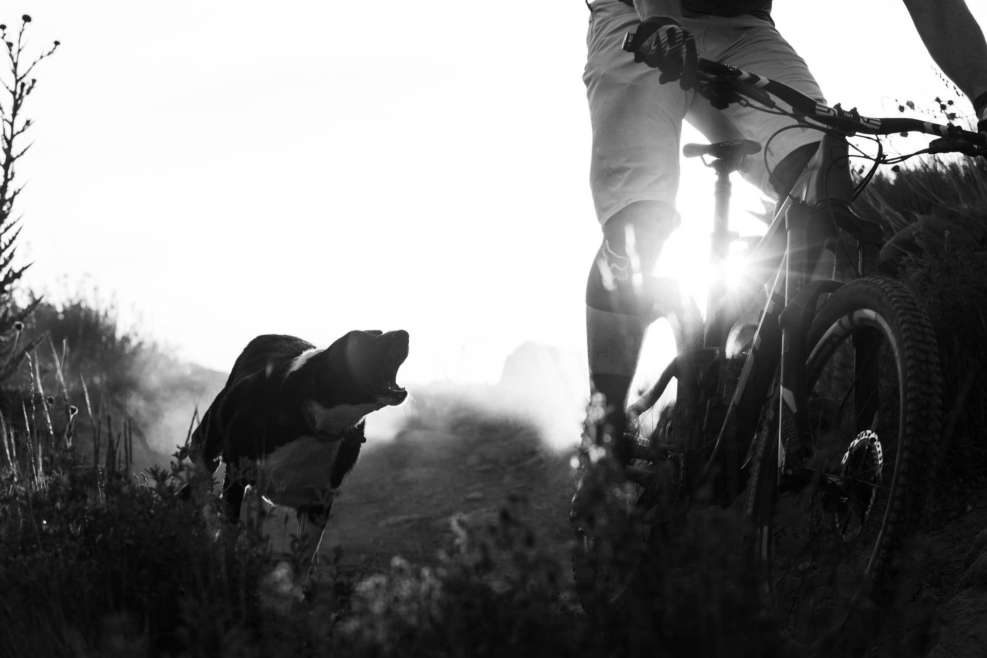 Grimy Handshake Down Time BikeMag