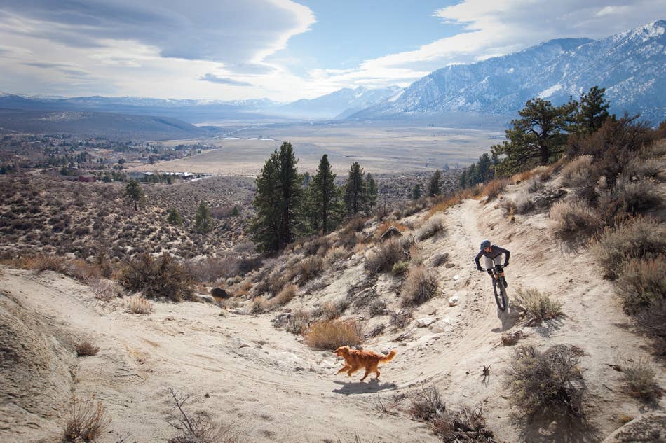 Carson City MTB Guide | BIKE Magazine