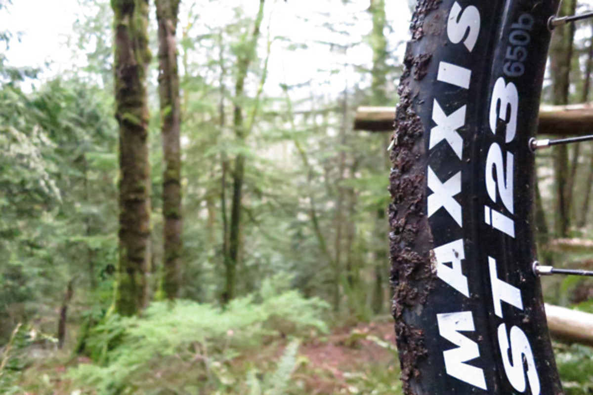 Santa Cruz Bantam Review