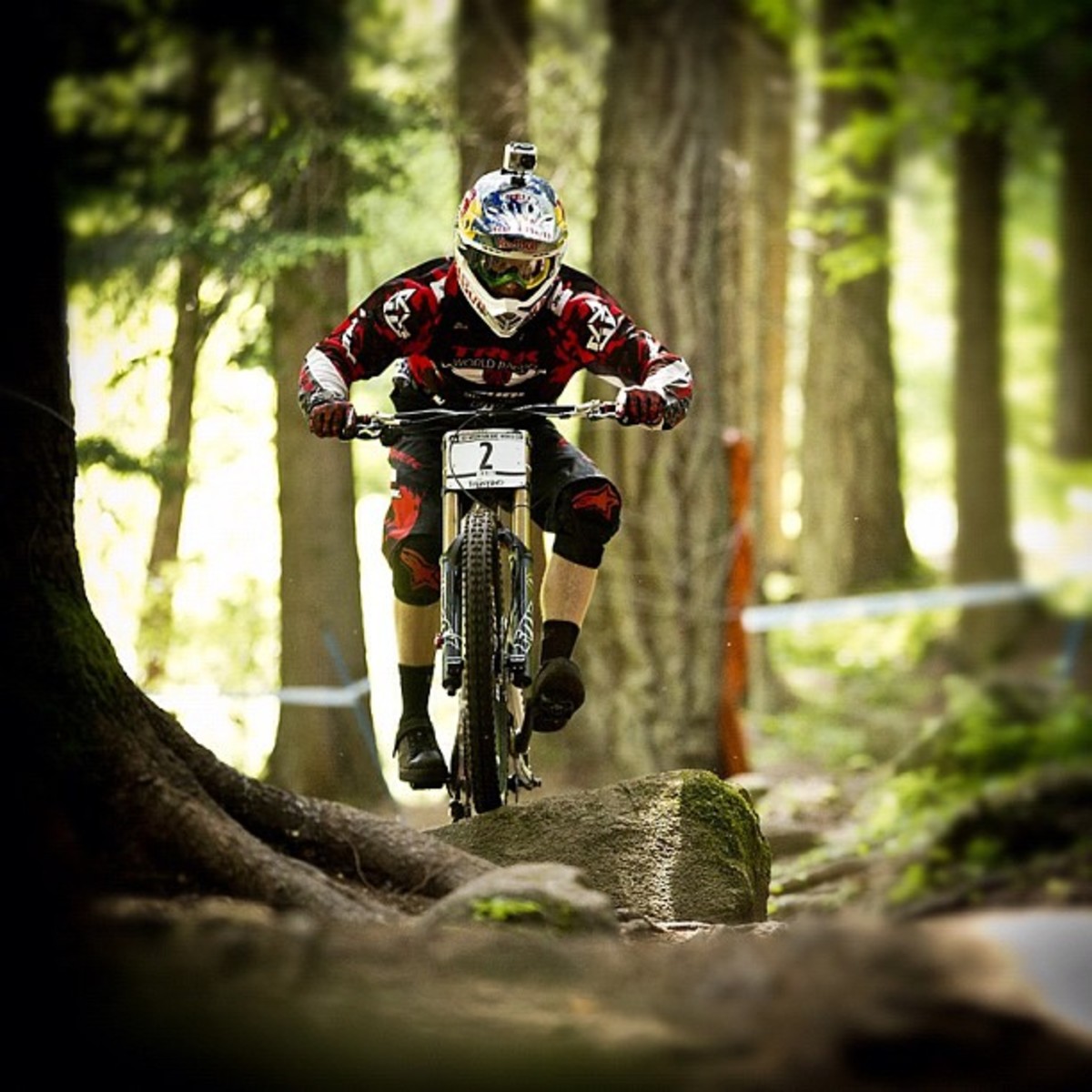 Specialized Bicycles Signs Aaron Gwin