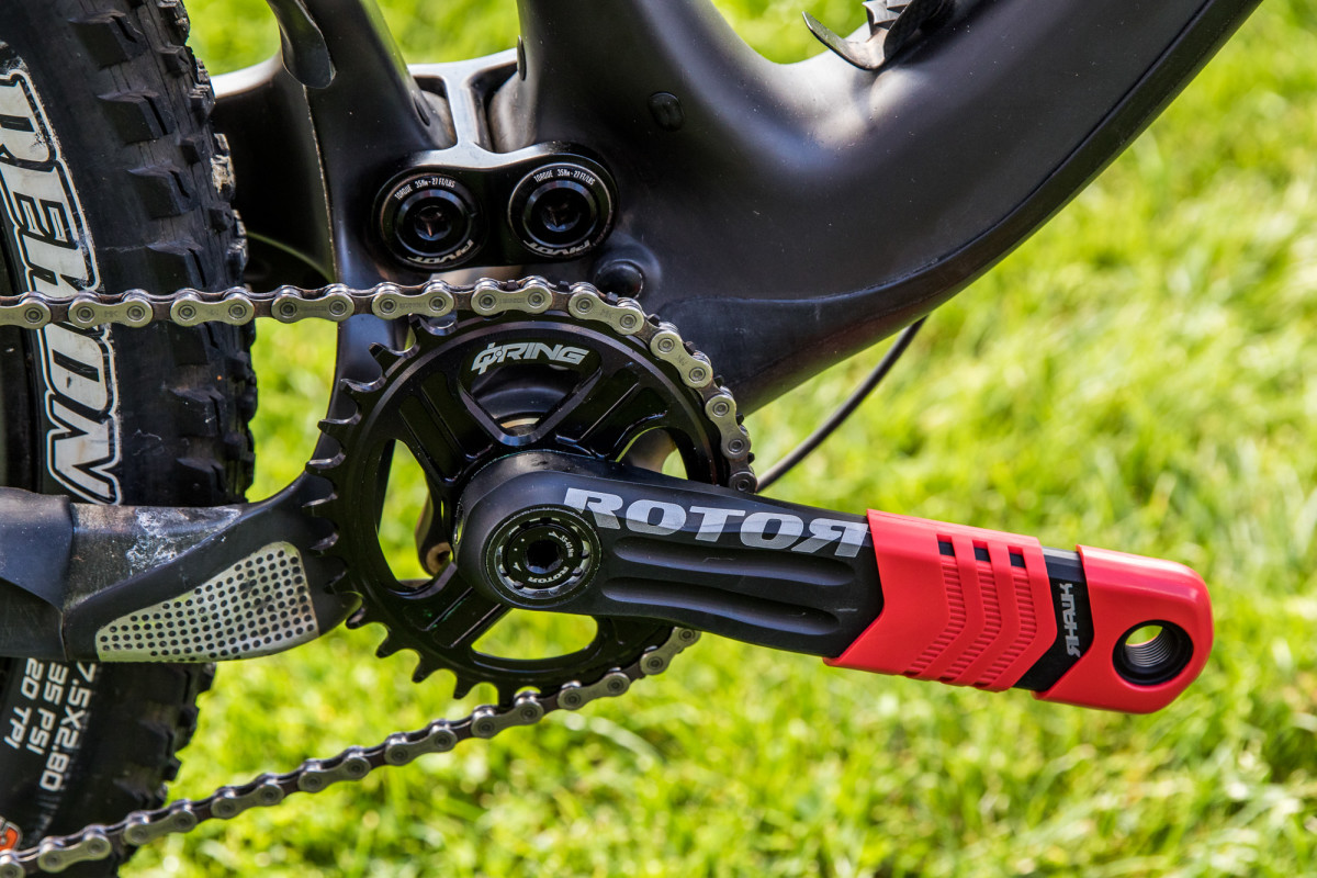 Sea Otter: Rotor, Manitou, Terrene and Deity