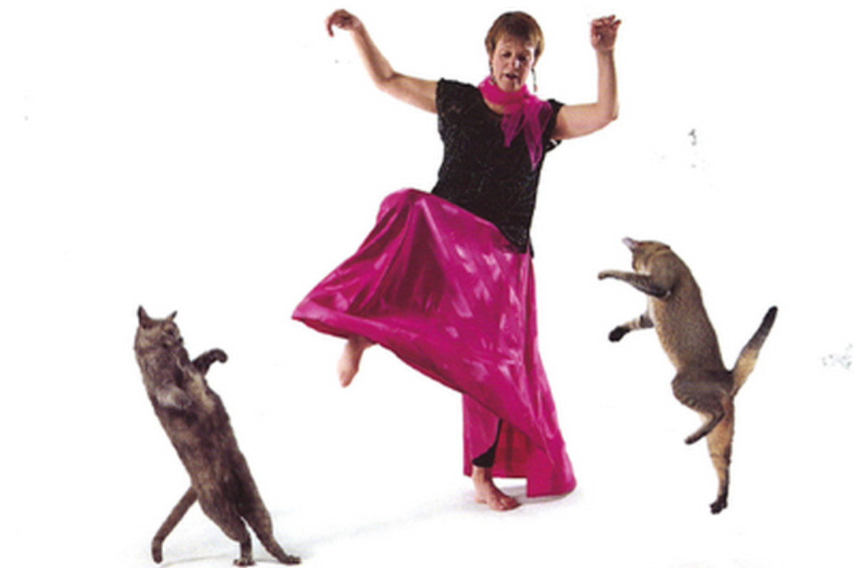 Dancing Cats