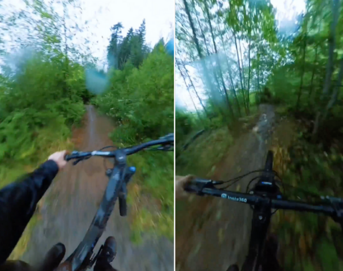 Look: Professional Mountain Biker Blasts Down Narrow Trail In The Rain