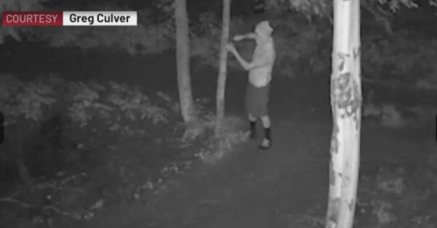 Trail Camera Catches Masked Man Tampering With Park's Mountain Bike ...