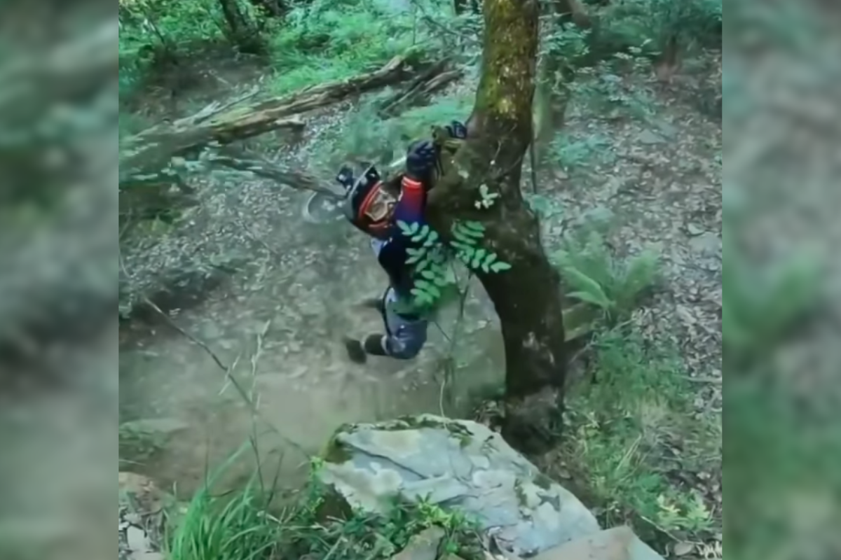 Rider Clings To Tree To Avoid Precipituous Fall